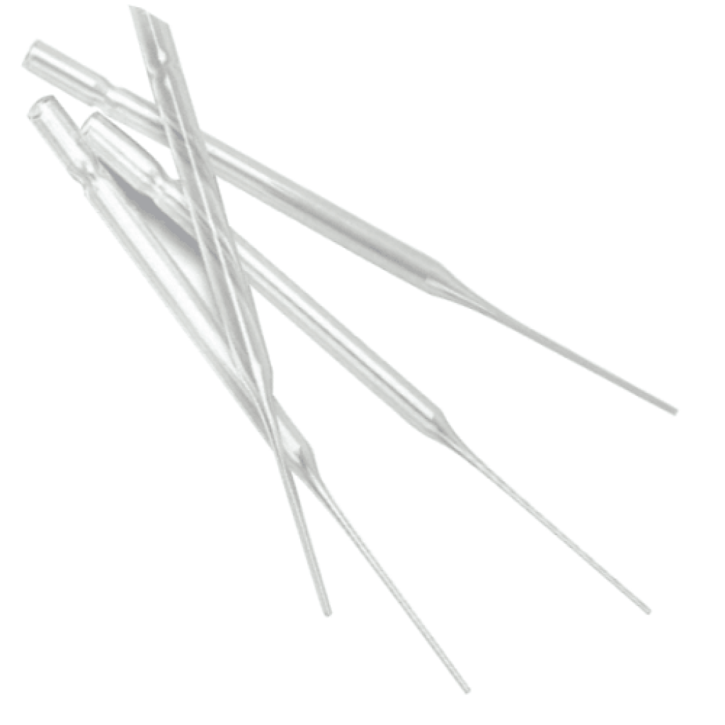 Glass pasteur pipette 150mm 250/pk * - World Of Science